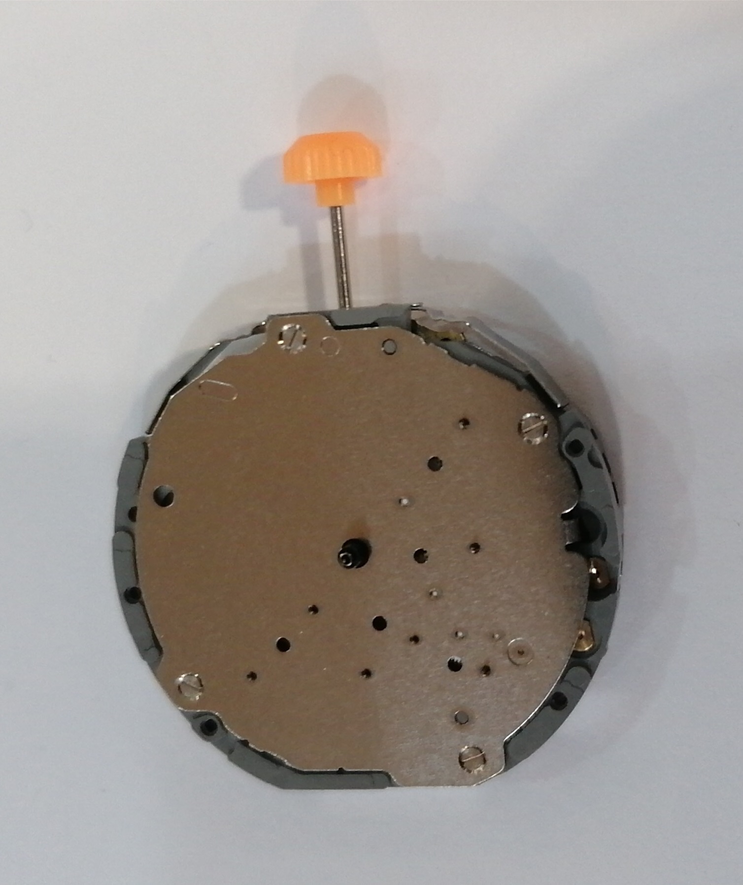 Bruno Calvani - producent zegarków: MECHANIZM MIYOTA CITIZEN JS50